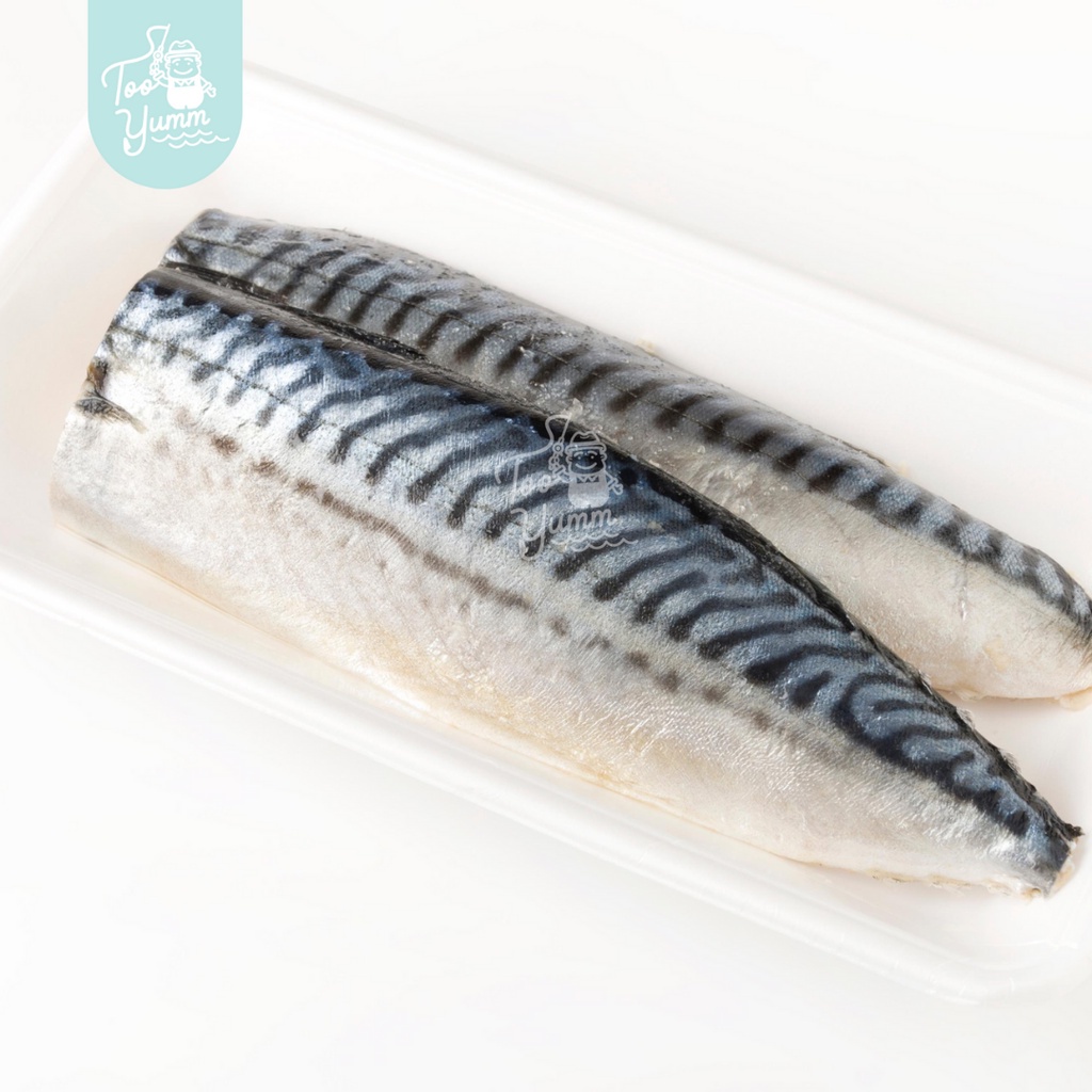 Norwegian Saba Mackerel Fillet 鲭鱼 ( 3 pcs ) | Shopee Malaysia
