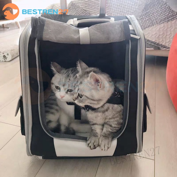 Cat Bag Pack Carrier Portable Outing Backpack Pet Dog Carry Trolley ...