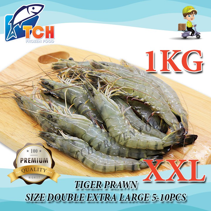 UDANG HARIMAU XXL, TIGER PRAWN XXL TCH FROZEN FOOD, FRESH FROZEN ...