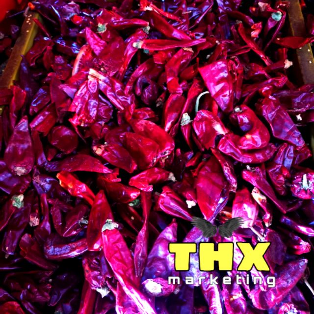 🔥TOP SALE🔥 CILI KERING GEMUK X PEDAS (READY STOCK) | Shopee Malaysia