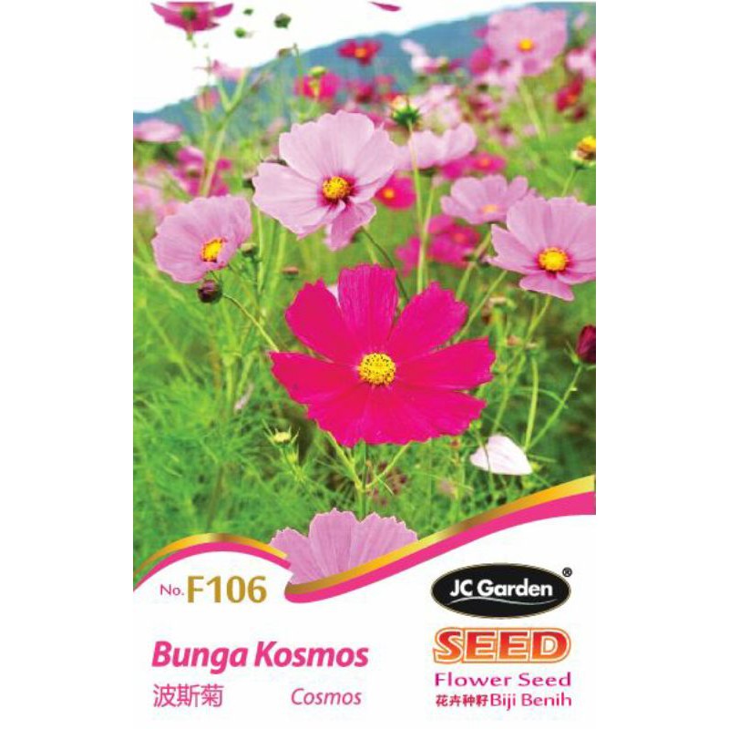 F106 JC Garden Flower Seed Bunga Kosmos 波斯菊 Cosmos | Shopee Malaysia