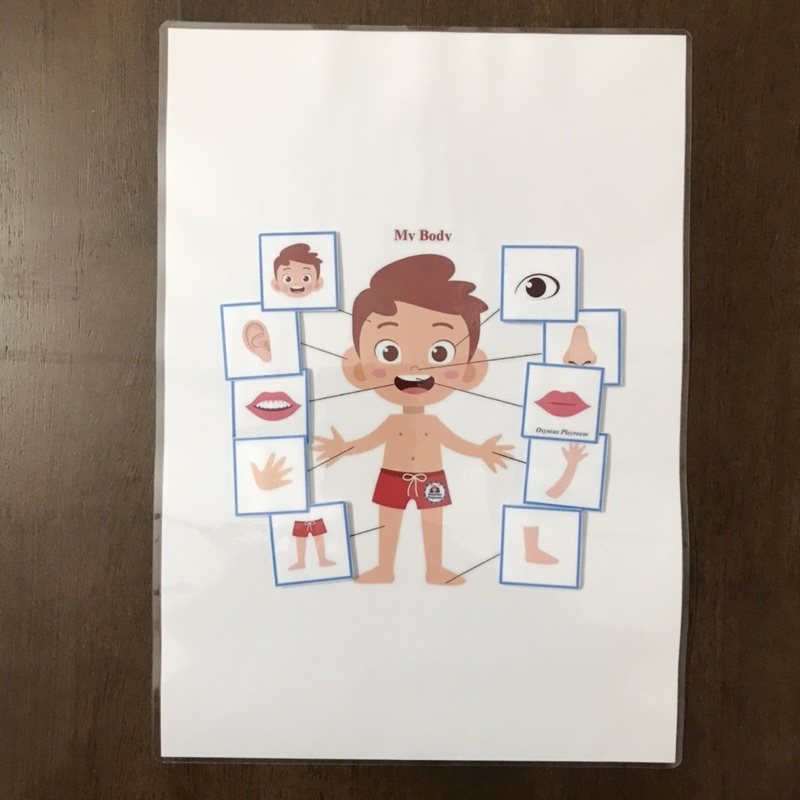 My Body Parts | Busy Book | Shape | Number | Alphabet | Colour ...