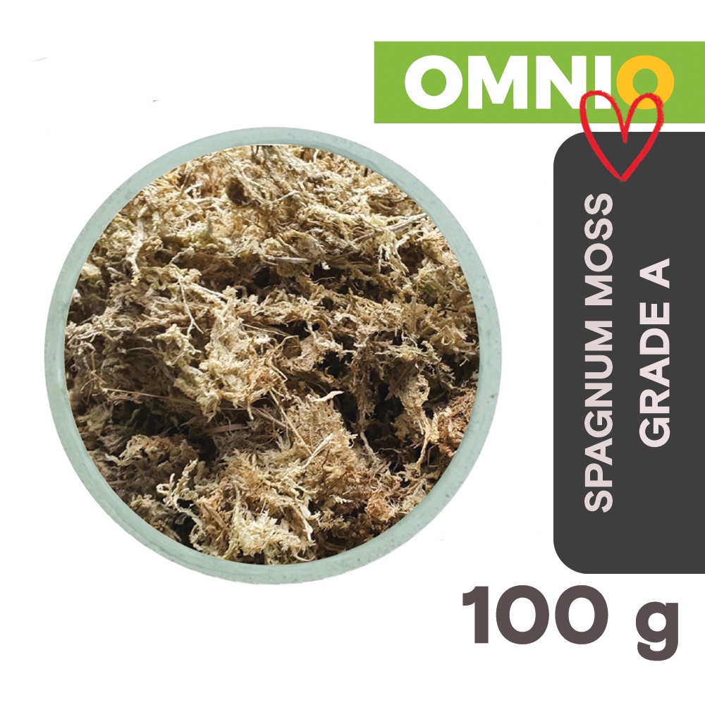 Dried Sphagnum Moss (Lumut Kering) (For Orchid, Terrarium and Carnivore ...