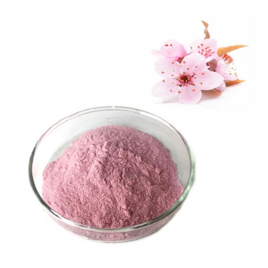 Japan Sakura Powder 100g 50g 200g / 樱花粉 / Cherry Blossom Powder / 樱花花瓣粉 ...