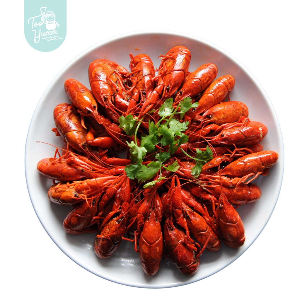 Mala Spicy Crayfish 麻辣小龙虾 (More Spicy, 700g) | Shopee Malaysia
