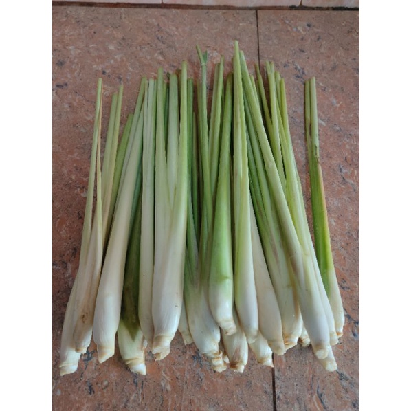 [FRESH] Serai, Serai Kampung, Serai Segar, Serai Untuk Memasak ...