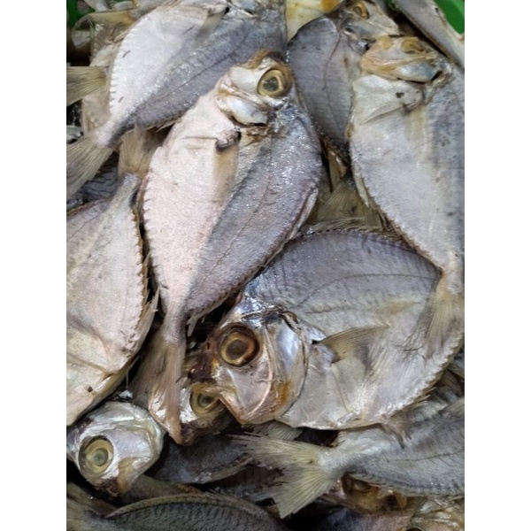 IKAN MASIN KEKEK,🔥1 PEK 500 GM🔥 | Shopee Malaysia
