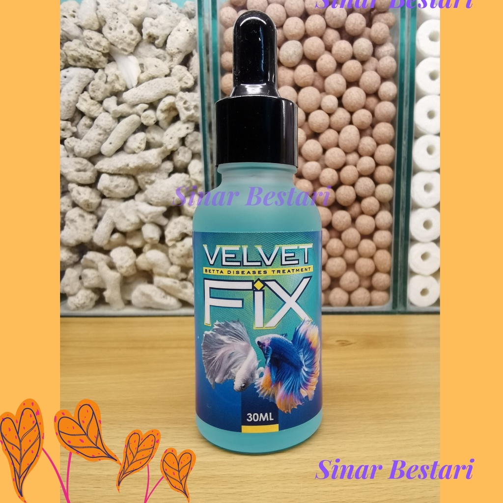 VelvetFix Betta ikan laga Sakit Ubat diseases treatment untuk merawat ...