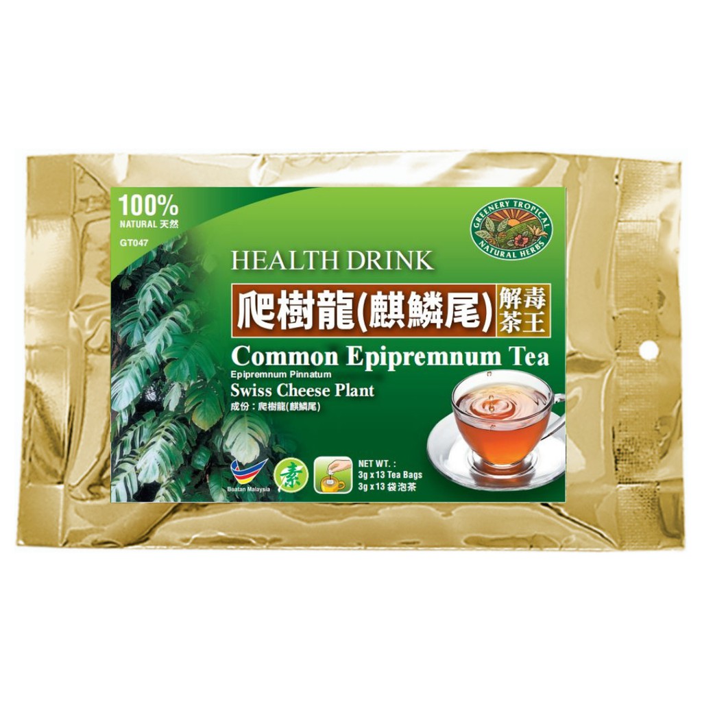 Common Epipremnum Tea (Swiss Cheese Plant) | 爬树龙茶 | Shopee Malaysia
