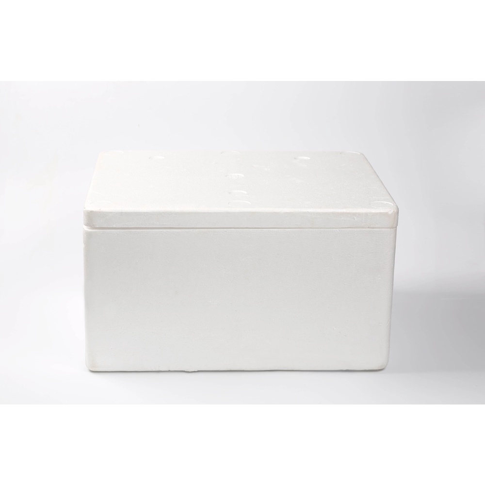 Styrofoam Ice Box/foil carton box for frozen food | Shopee Malaysia