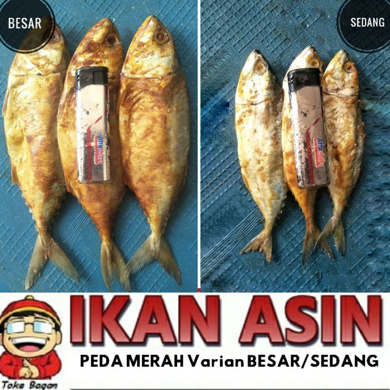 MERAH RED PEDA / KEMBUNG Salted Fish 500 gr cap TOKE FOR FIRE | Shopee ...
