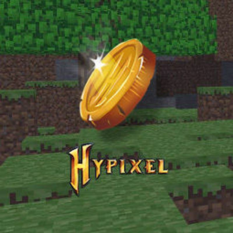 Hypixel Skyblock 1 million Coins Trusted | Shopee Malaysia