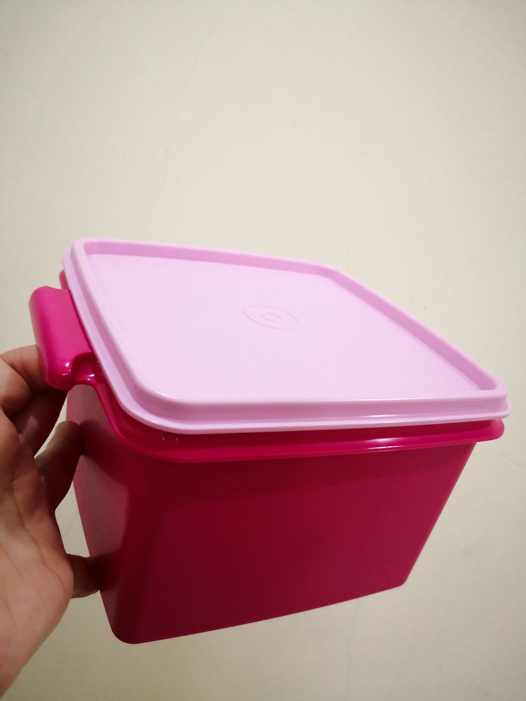 7 Jenis: Tupperware Goody Lunch Box 1X470ml (Random Colour Sent)/ 790ML ...
