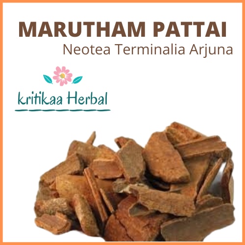 MARUTHAM PATTAI | ARJUN TREE | TERMINALIA ARJUNA | -50G | Shopee Malaysia