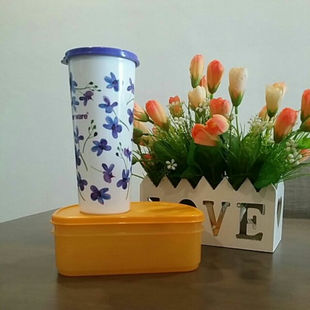 Tupperware Clearance Combo ( Eco Bottle / Canister) | Shopee Malaysia