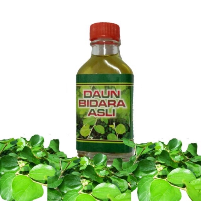 🔥MINYAK DAUN BIDARA ASLI 💯🔥 massage oil | Shopee Malaysia