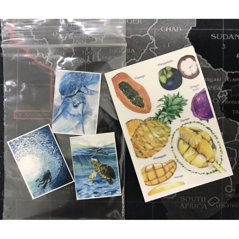 Mini Stickers Stiker Jurnal Malaysian Food Fruits Sea Turtle Seascape ...