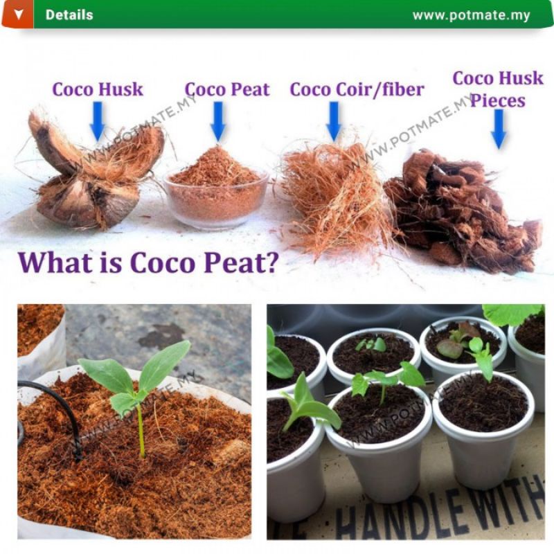 cocopet murah/sabut kelapa | Shopee Malaysia