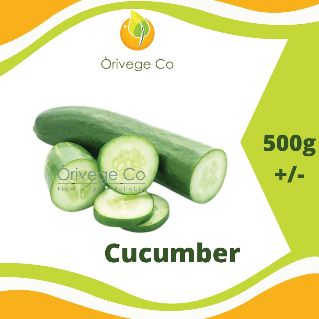Local Cucumber / Timun / 黄瓜 -1 pcs (500g+/-)【Orivege Co】Fresh ...