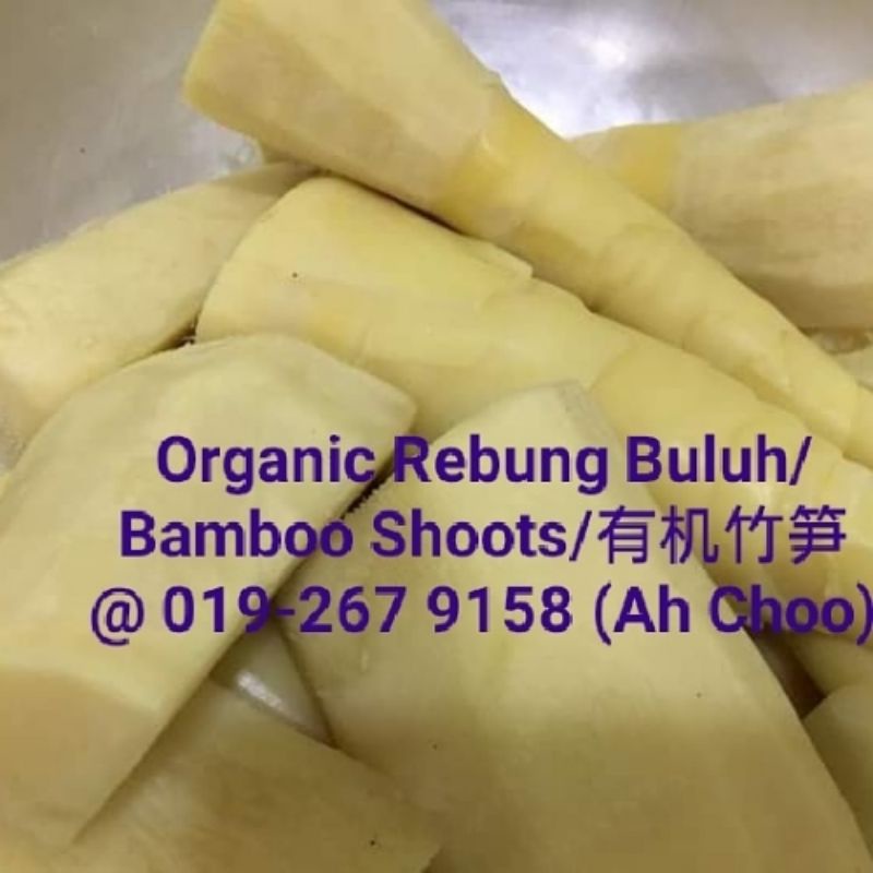 REBUNG ORGANIK SEGAR | Shopee Malaysia