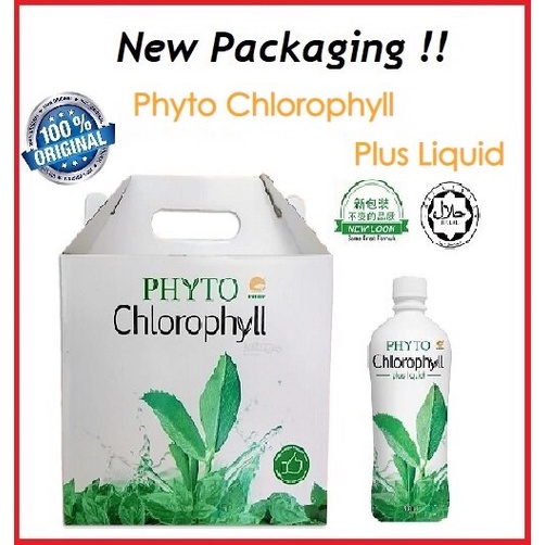 PHHP Phyto Chlorophyll Plus Liquid Mint Flavored 500ml x 6 (DETOX ...