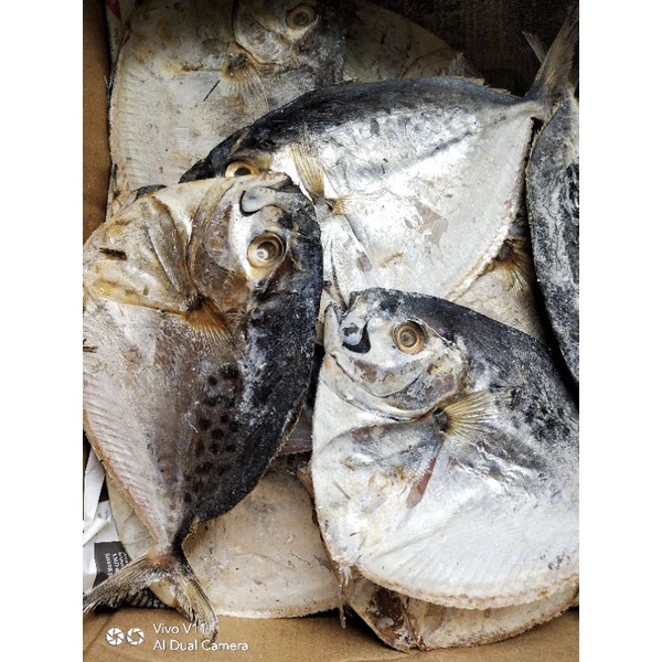 Ikan Kapak Masin Bermutu. | Shopee Malaysia