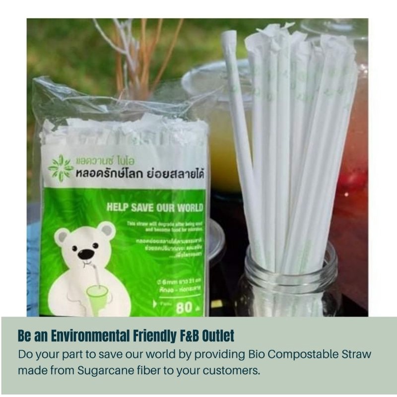 BIO Mat. degradable Flexible White Straw 80 straws/pack (individual ...
