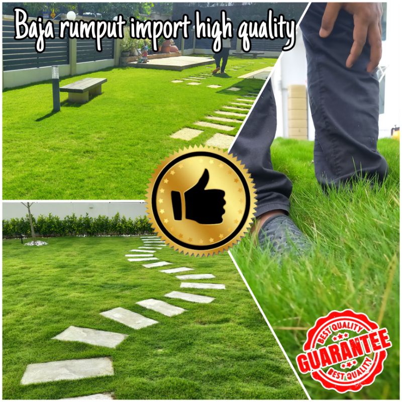 Baja Rumput Premium High Quality Fertilizer Import | Shopee Malaysia