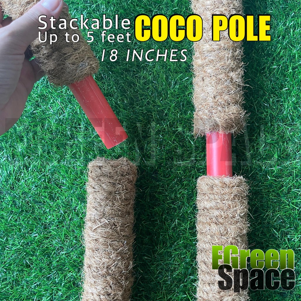 COCO POLE 1ft. (Stackable up to 5feet) | Shopee Malaysia