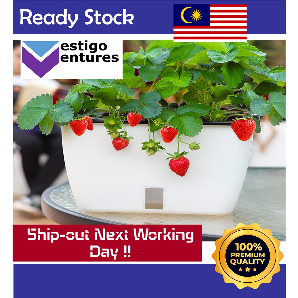 SELF WATERING POT / NUTRIPOT / HYDROPONIK / HYDROPONIC / HYDROPOT SC01 ...