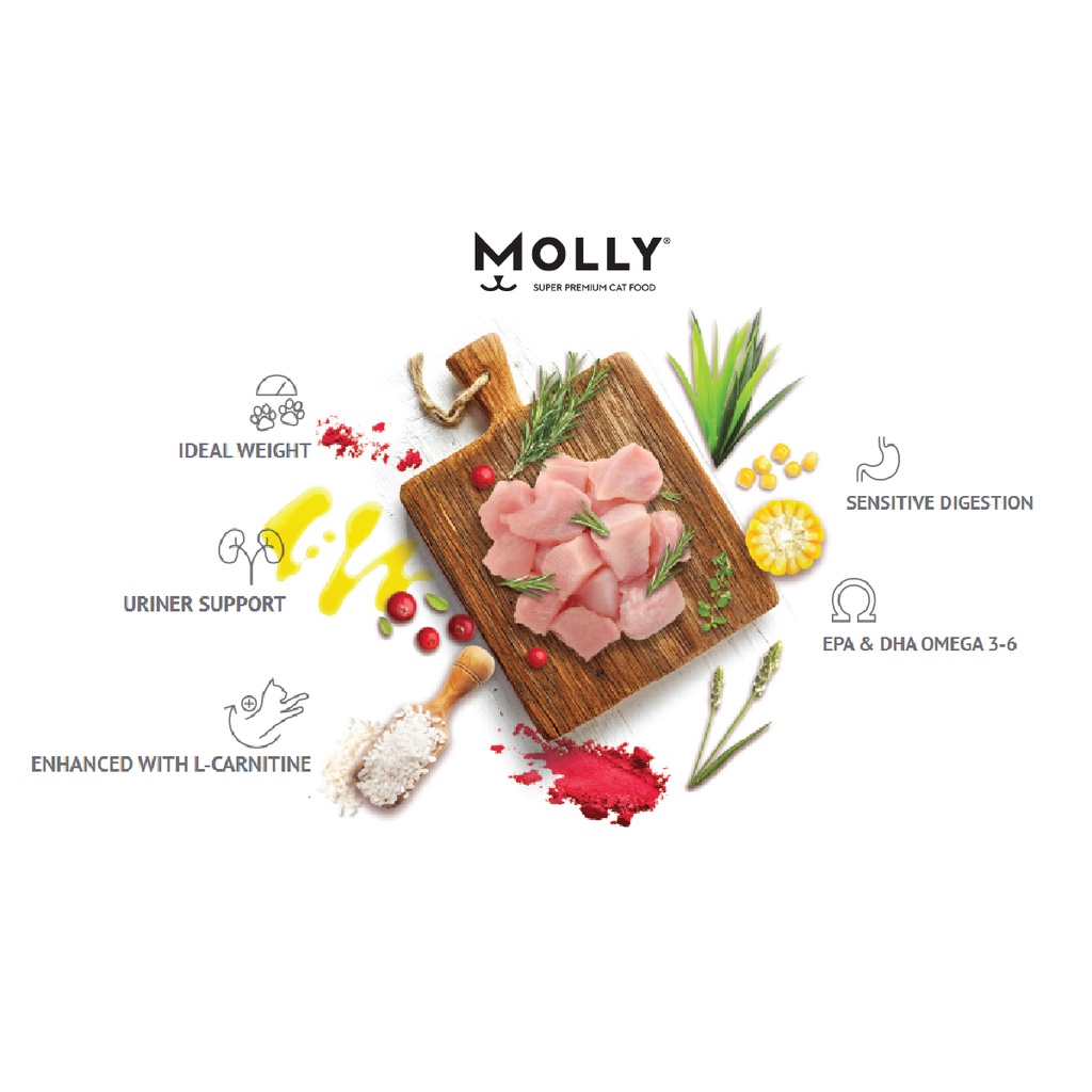 MOLLY Cat Adult (2kg/2kg x2/15kg)/ Cat Food / Makanan Kucing | Shopee ...