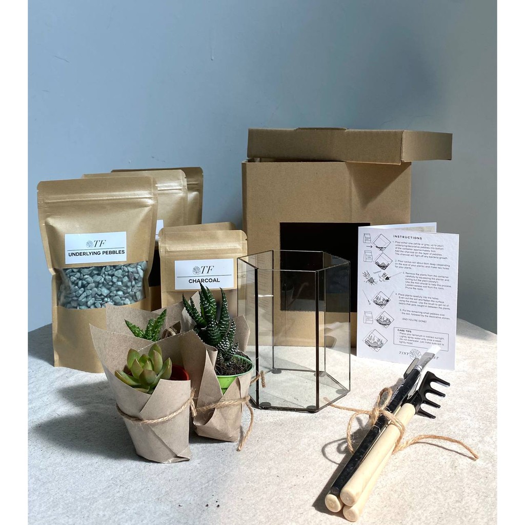Tiny Forest DIY Hexarium Kit | Shopee Malaysia