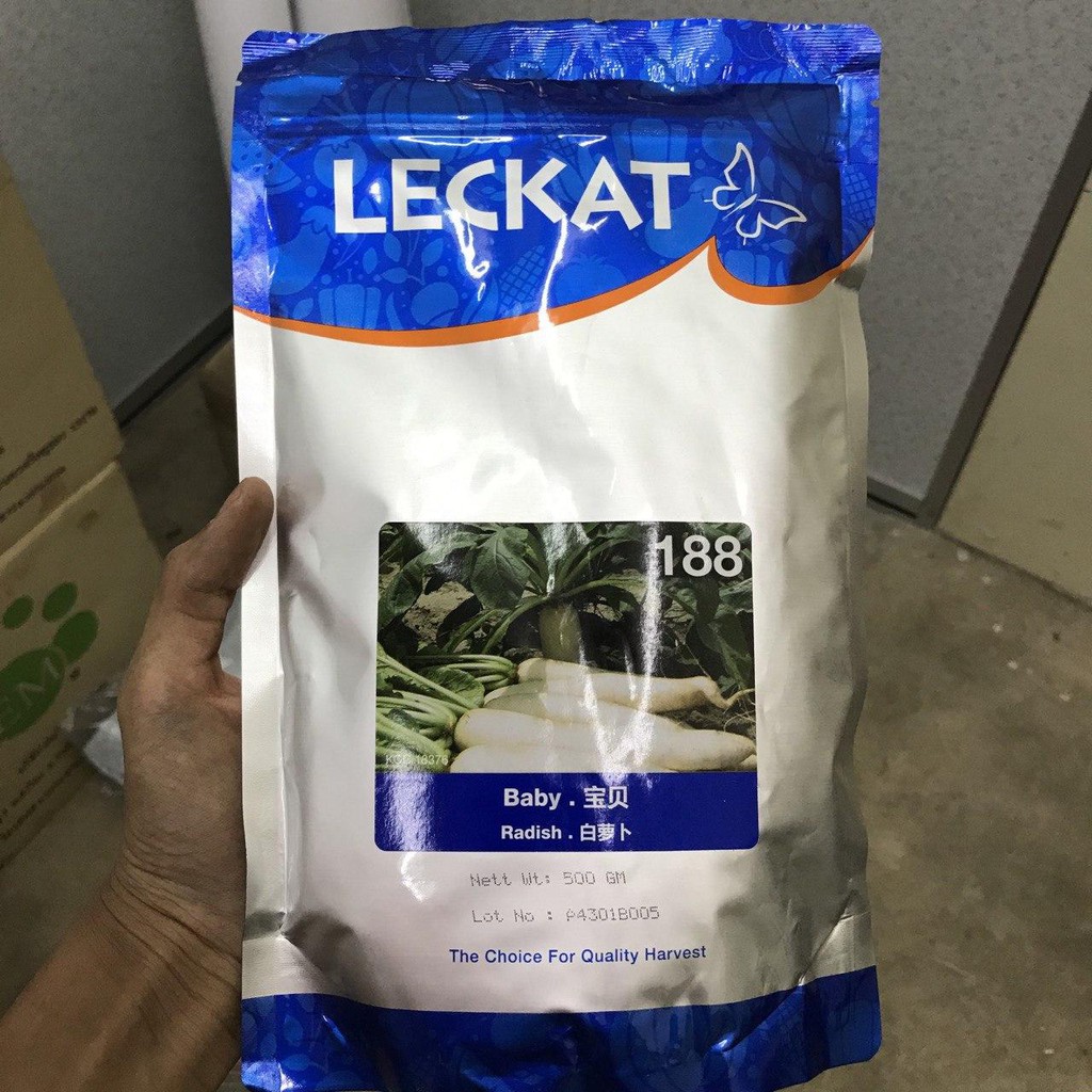 Biji Benih Lobak Putih/White Radish BABY 188 Leckat (Repack 20gm ...
