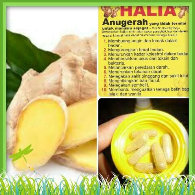 Kapsul halia original READY STOCK,BORONG,HARGA MURAH | Shopee Malaysia
