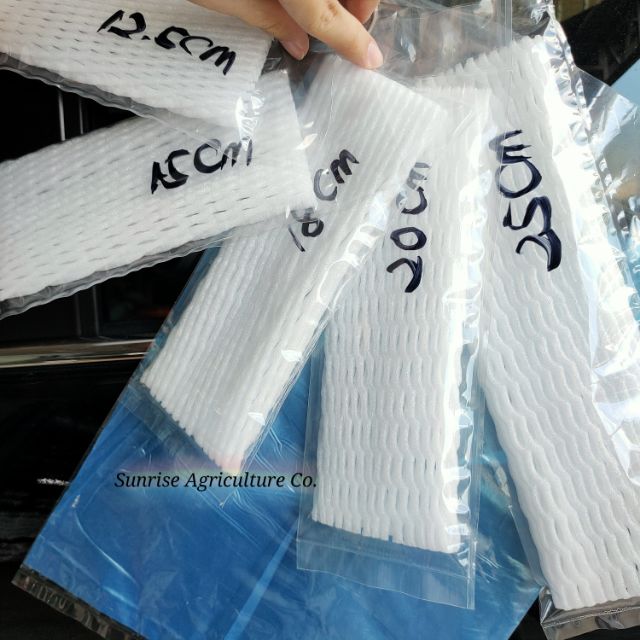 (Foam only)15/18/20cm Fruit Cover Foam–100+/-pcs 水果网套 / Penutup Jaring ...