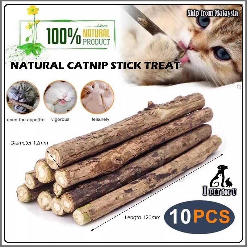Catnip Stick Treat Silvervine Matatabi Teeth Molar Cleaning Cat Chew ...
