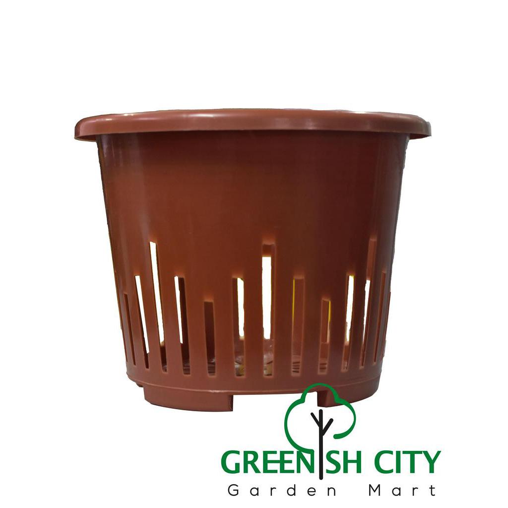 GNC - GAFRI OC190 Orchid Flower Pot Pasu Orkid Bunga胡姬花花盆兰花花盆 | Shopee ...