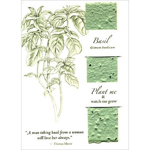 Plant A Seed Cards-Basil Ocimum Basilicum | Shopee Malaysia