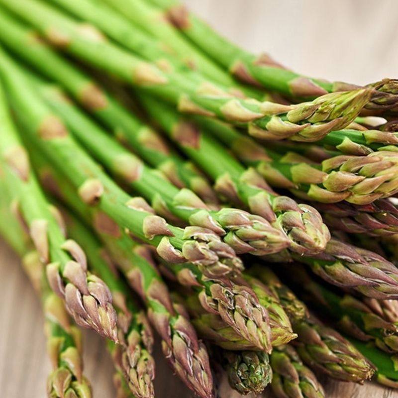 Benih Asparagus Hijau(18 Seeds)/绿芦笋籽/Green Asparagus Seeds | Shopee ...