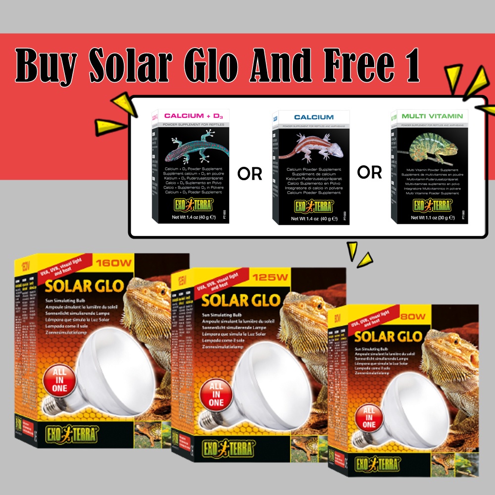 Exo Terra Solar Glo / Sun Simulating Bulb | Shopee Malaysia