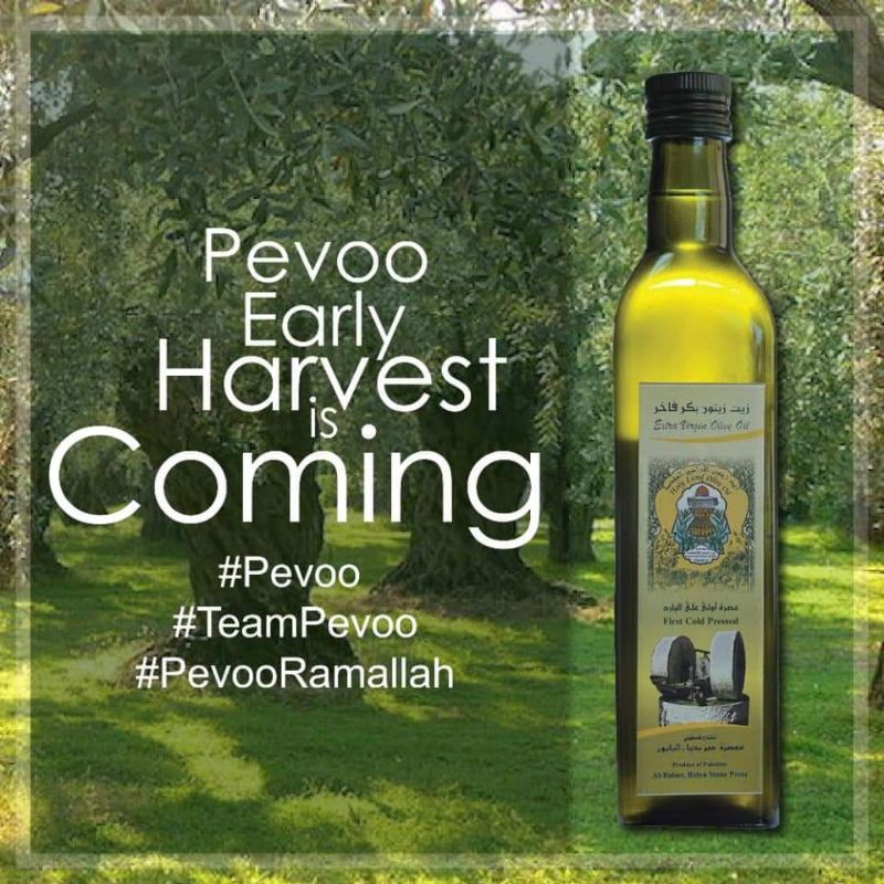 PEVOO PALESTINE EXTRA VIRGIN OLIVE OIL ORIGINAL (Ready Stock) | Shopee ...