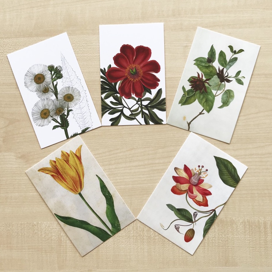 Vintage Flower Postcard - Set F002 (5 pcs) | Shopee Malaysia