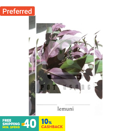 (3 Keratan) Batang Pokok Lemuni (50g) Daun | Shopee Malaysia
