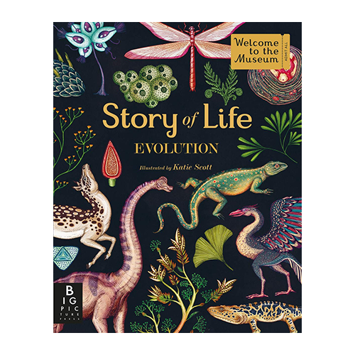 See the evolution of life on earth education book learning book for ...