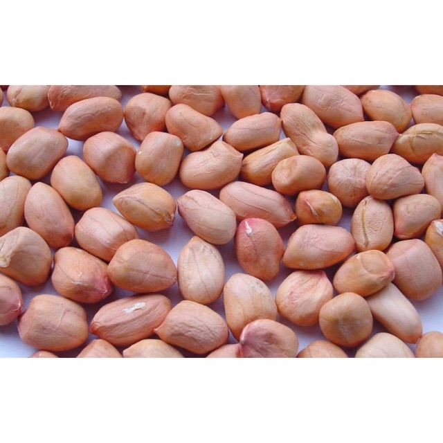 Dried peanuts, 1 large seed, 500gr - 1kg | Shopee Malaysia