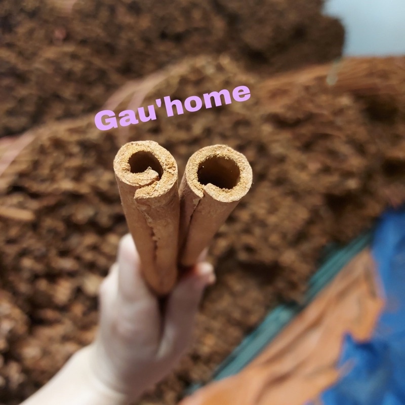 Cinnamon Flute (peeled) | Shopee Malaysia