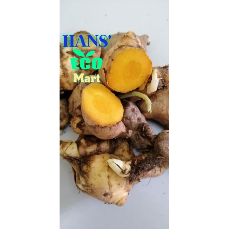🍠Rizom 🍠 pelbagai kunyit, halia, temu | Shopee Malaysia