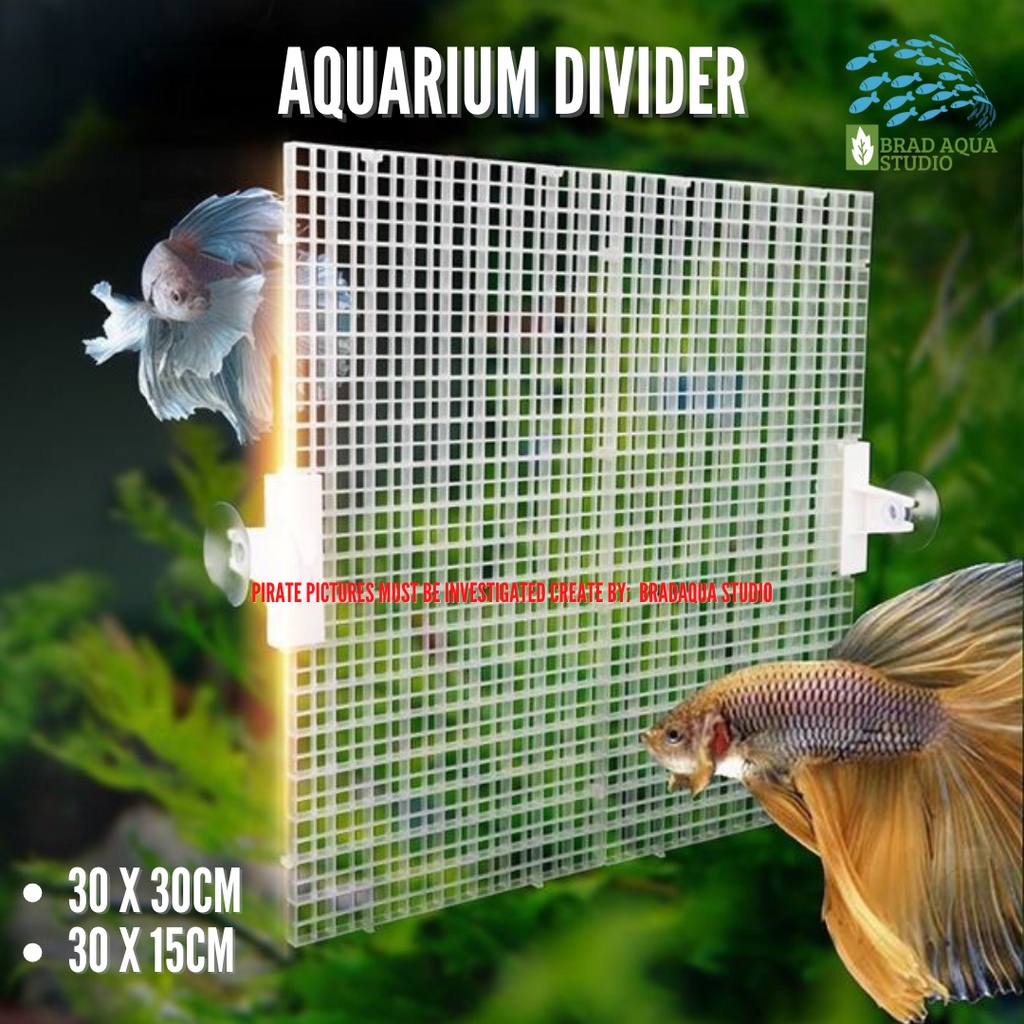 AQUARIUM Divider Trays Plastic Grid Isolate Board Divider Durable ...