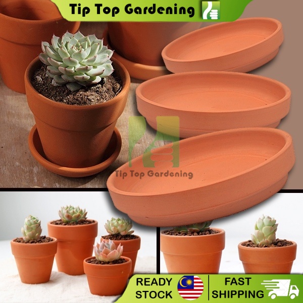 RED POTTERY CLAY POT SAUCER SUCCULENT CACTUS FLOWER POT SAUCER ...
