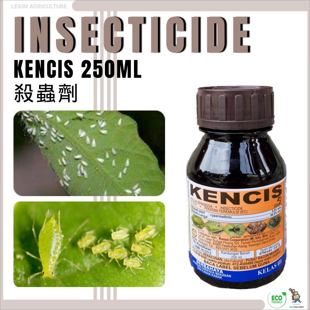 🔥READY STOCK🔥 KENCIS - 250ML ( RACUN SERANGGA / INSECTICIDE / 杀虫剂 ) | Shopee Malaysia